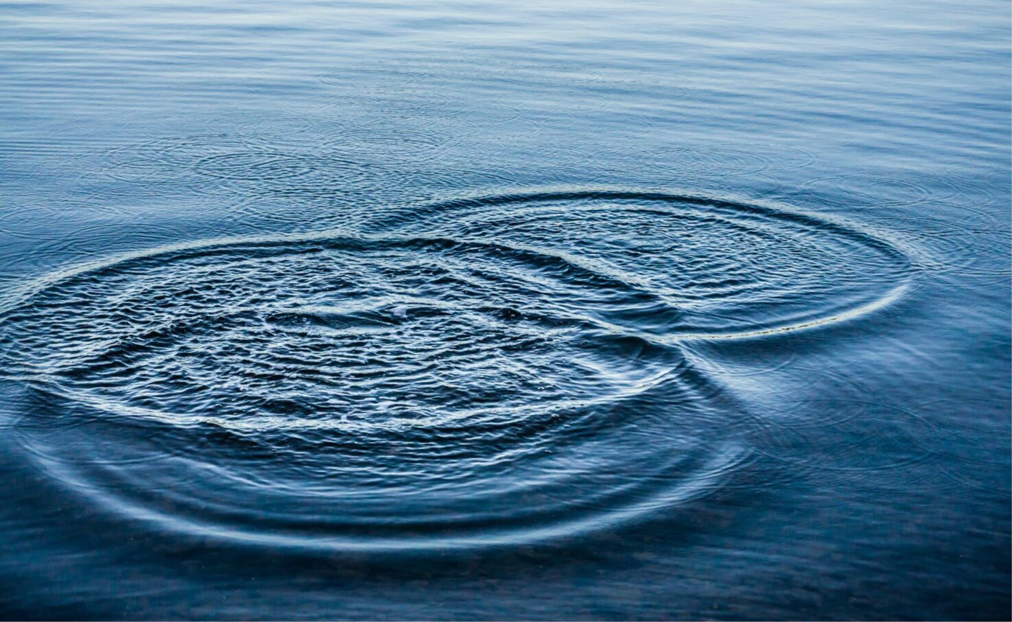 The Ripple Effect: How One Small Change Can Transform Your Health and ...